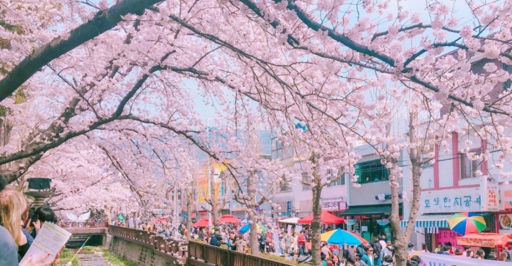 Festivals and popular events in South Korea.